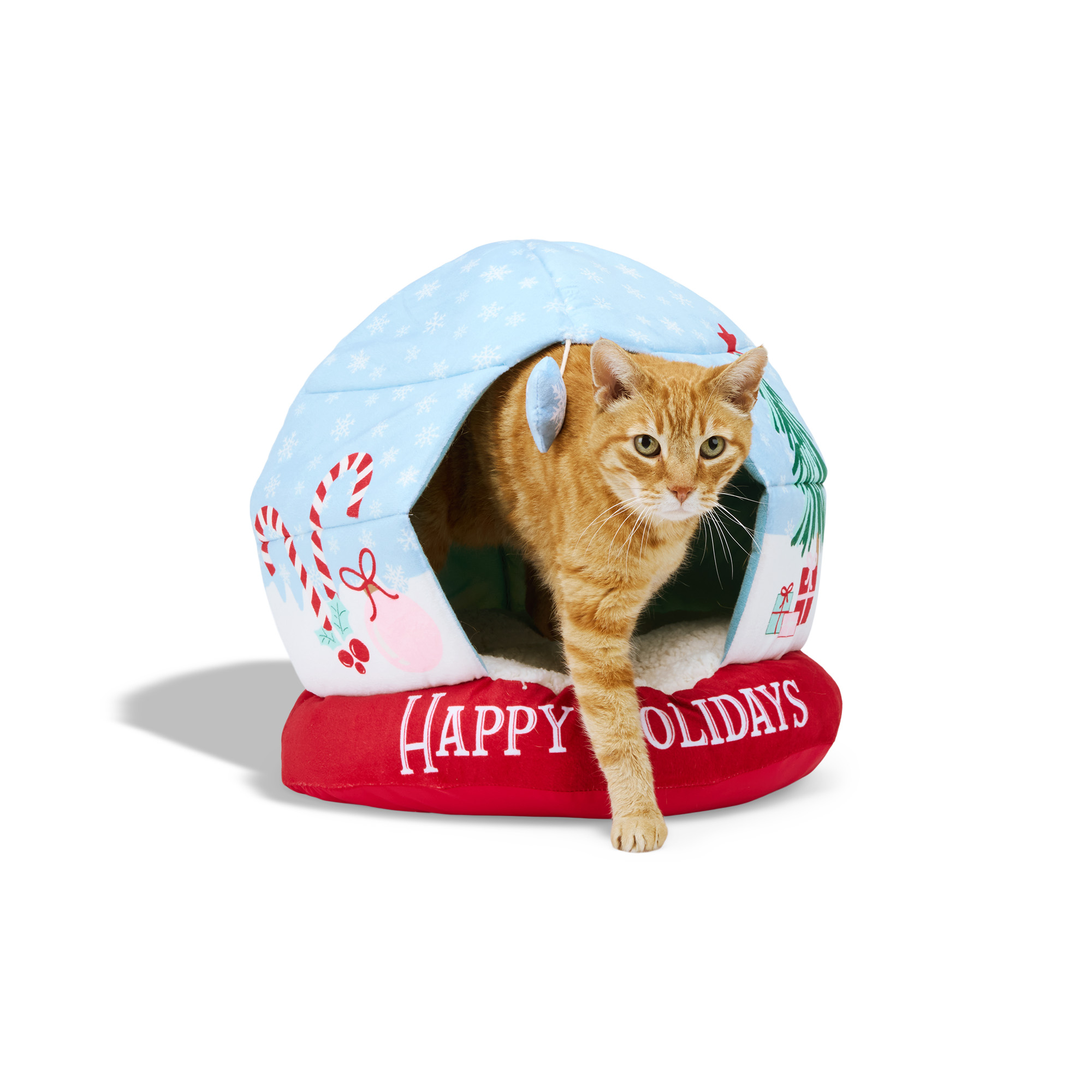 Creating The Perfect Holiday Gifting for Pets at Petco